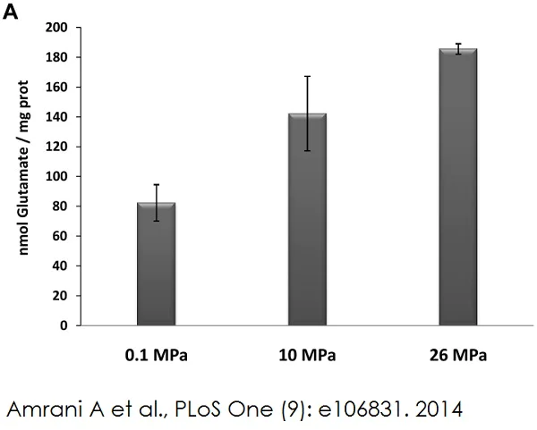 Glutamate Assay Kit (Fluorometric) (ab138883) | Abcam