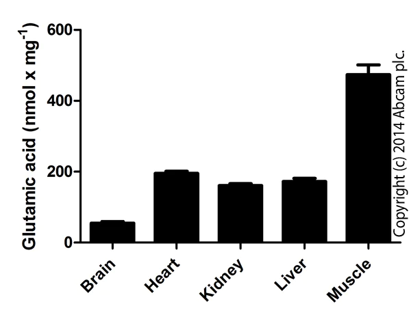 Glutamate Assay Kit (Fluorometric) (ab138883) | Abcam