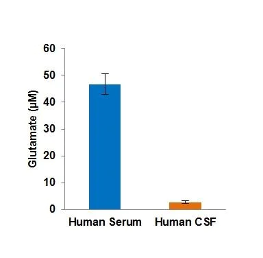 Glutamate Assay Kit (Fluorometric) (ab252893) | Abcam