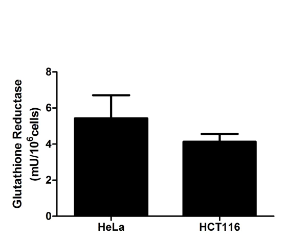 Glutathione Reductase (GR) Assay Kit (ab83461) | Abcam