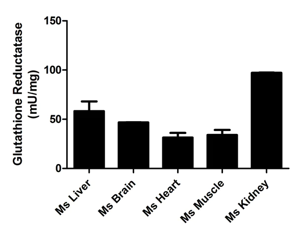 Glutathione Reductase (GR) Assay Kit (ab83461) | Abcam