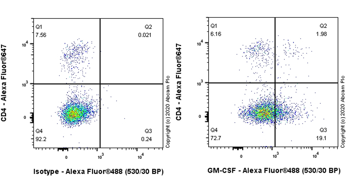 Anti-GM-CSF antibody [EPR23689-17] (ab227031) | Abcam