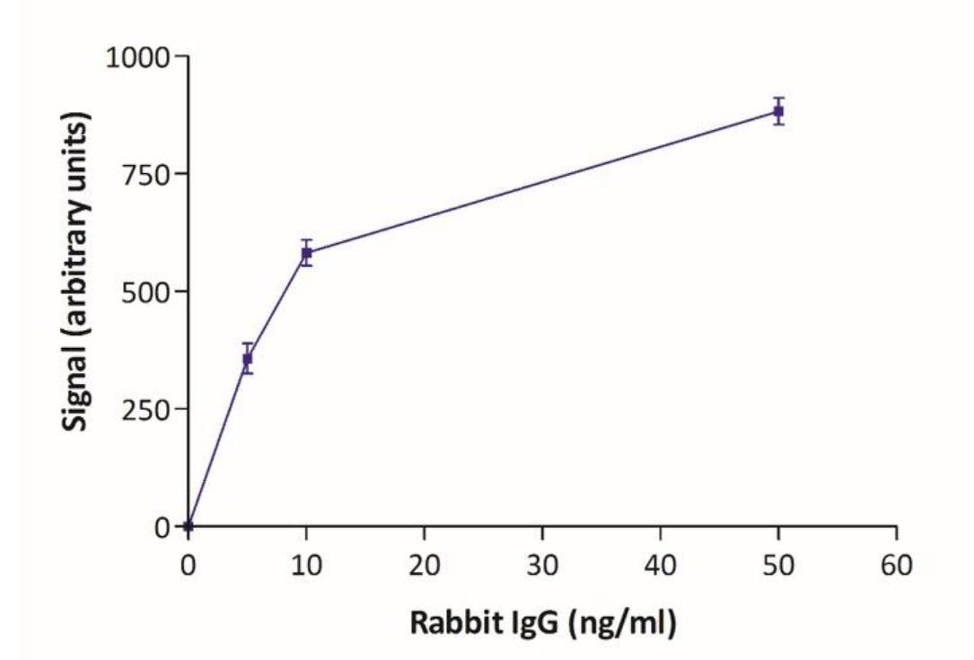 40nm Goat Anti Rabbit (IgG) secondary antibody Gold (ab270694) | Abcam