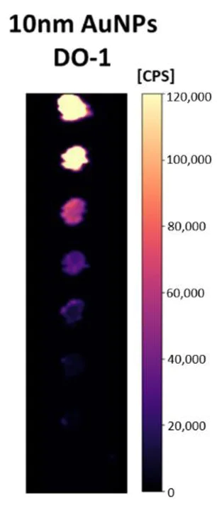 10nm Gold Conjugation kit | Easy 10nm Gold Labelling (ab201808) | Abcam