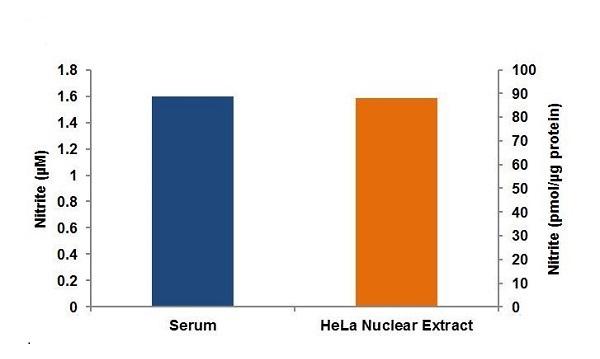 Griess Assay Kit / Griess Reagent Kit (Nitrite Assay) (ab234044) | Abcam