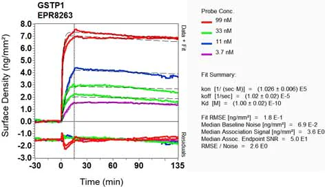 Anti-GST3 / GST pi antibody [EPR8263] KO tested (ab138491) | Abcam