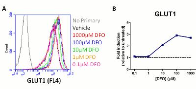 HIF1a + GLUT1 Hypoxia Response Human Flow Cytometry Kit (ab126584) | Abcam