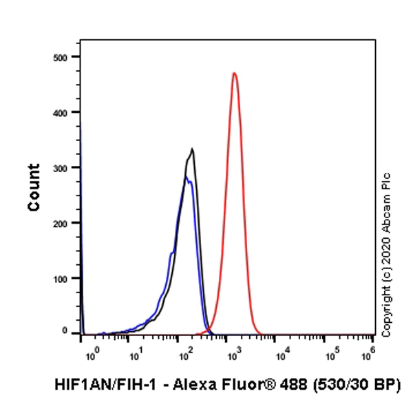 Anti-HIF1AN/FIH-1 antibody [EPR3658] (ab92498) | Abcam