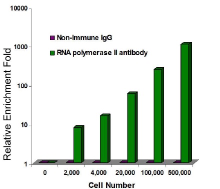 High-sensitivity ChIP kit - 24, 48 tests (ab185913) | Abcam