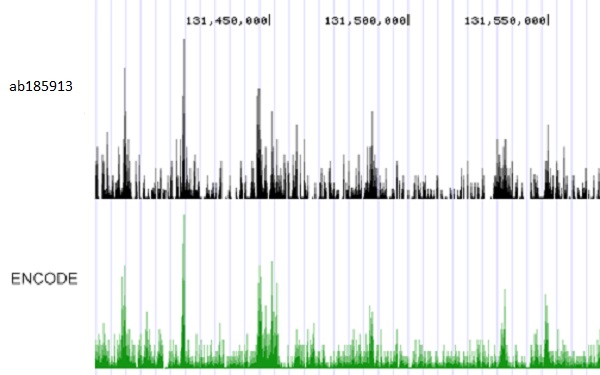 High-sensitivity ChIP kit - 24, 48 tests (ab185913) | Abcam