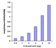 Histone extraction kit, 100 tests (ab113476) | Abcam