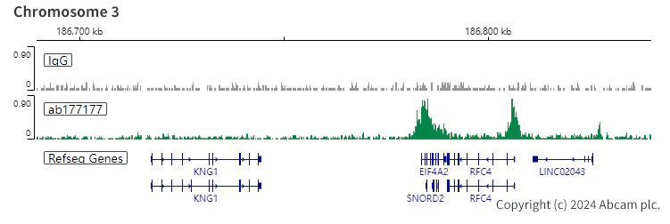 Histone H3 (acetyl K9)抗体[EPR16988] - ChIP Grade (ab177177)| Abcam中文官网