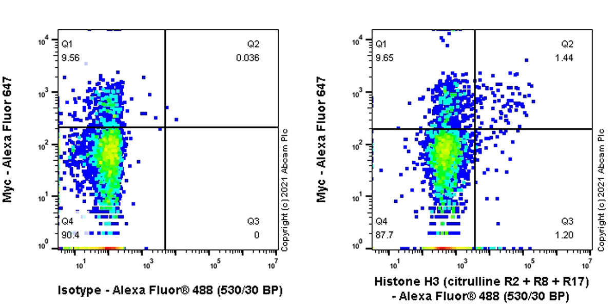 Anti-Histone H3 (citrulline R2 + R8 + R17) antibody [RM1001] (ab281584 ...