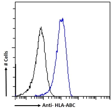 Anti-HLA-ABC Antibody [Bu8] (ab316357) | Abcam