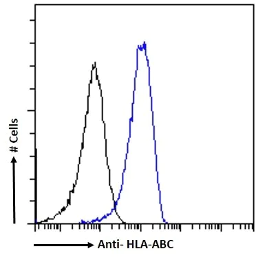 Anti-HLA-ABC Antibody [Bu8] (ab316357) | Abcam