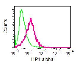 Anti-HP1 alpha antibody [EPR5776] (ab133577) | Abcam
