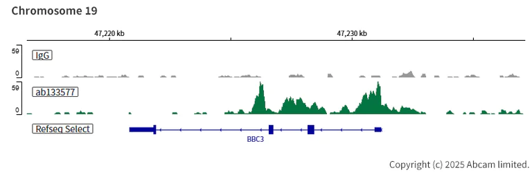 Anti-HP1 alpha antibody [EPR5776] - BSA and Azide free (ab248560) | Abcam
