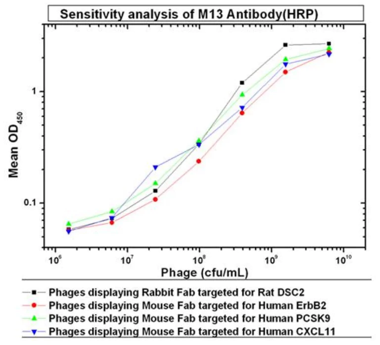 HRP Anti-M13 Bacteriophage抗体[MM05] (ab305291)| Abcam中文官网