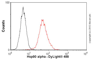 Anti-Hsp90 alpha antibody [2G5.G3] (ab79849) | Abcam