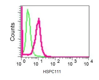 HSPC111抗体[EPR11971] (ab174267)| Abcam中文官网