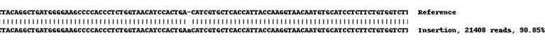 Human ACO1 knockout U-2 OS cell line (ab261884) | Abcam