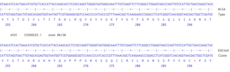 Human ACO1 knockout U-2 OS cell line (ab261884) | Abcam
