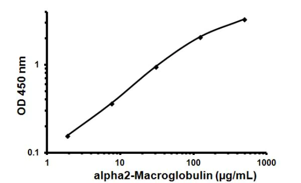 Human alpha 2 Macroglobulin ELISA Kit (ab108883) | Abcam