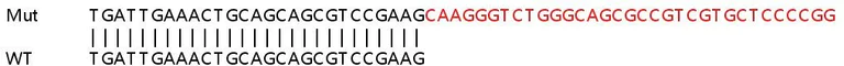 Human ATG10 knockout HeLa cell line (ab265682) | Abcam