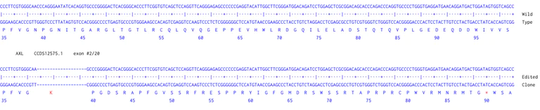 Human AXL knockout A549 cell line (ab273744) | Abcam