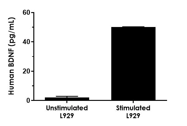 Human BDNF ELISA Kit (ab212166) | Abcam