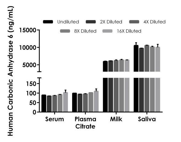 Human Carbonic Anhydrase 6 (CA6) ELISA Kit (ab275899) | Abcam