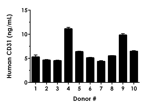 Anti-CD31 antibody [EPR17259] 20 ul size (ab182981) | Abcam