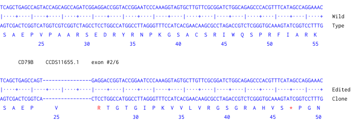 Human CD79B knockout Raji cell line (ab273839) | Abcam