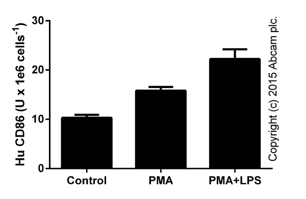 Human CD86 ELISA Kit (ab45921) | Abcam