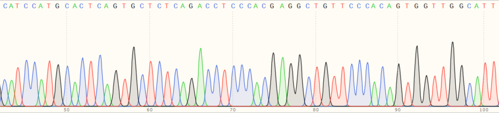 Human DAG1 knockout HEK-293T cell line (ab266263) | Abcam