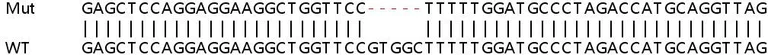 Human DDX58 (RIG-I) knockout A549 cell line (ab267117) | Abcam