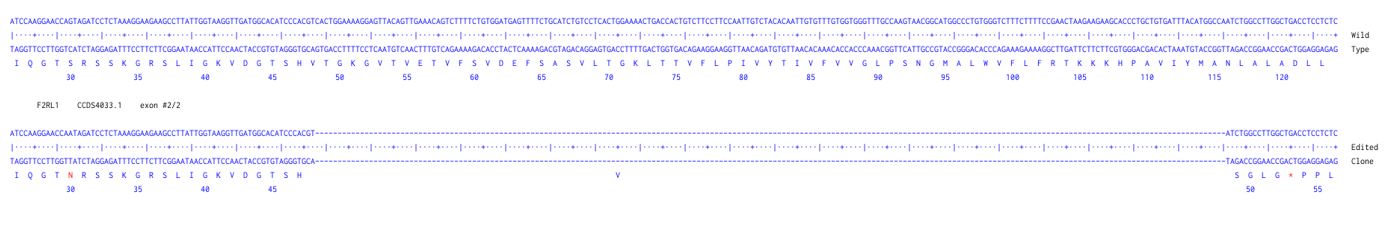 Human F2RL1 knockout HCT116 cell line (ab300938) | Abcam