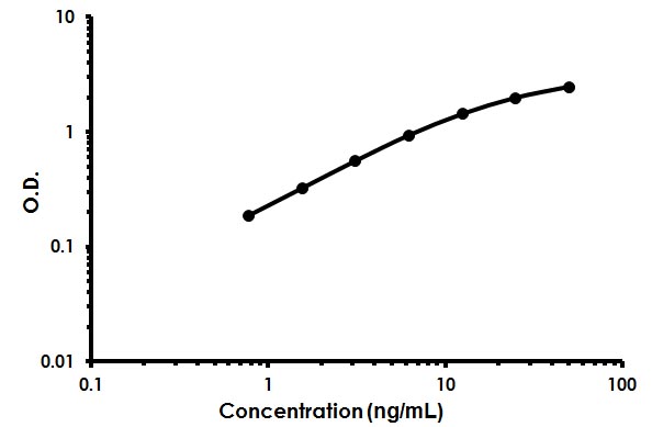 Human FCN1/M-Ficolin ELISA Kit (ab213777) | Abcam