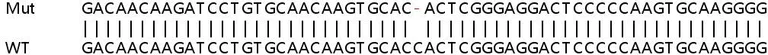 Human FHL1 knockout HeLa cell line (ab266011) | Abcam