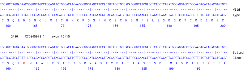 Human GAS6 knockout HEK-293 cell line (ab275837) | Abcam