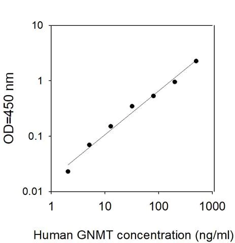 Human GNMT ELISA Kit (ab313966) | Abcam