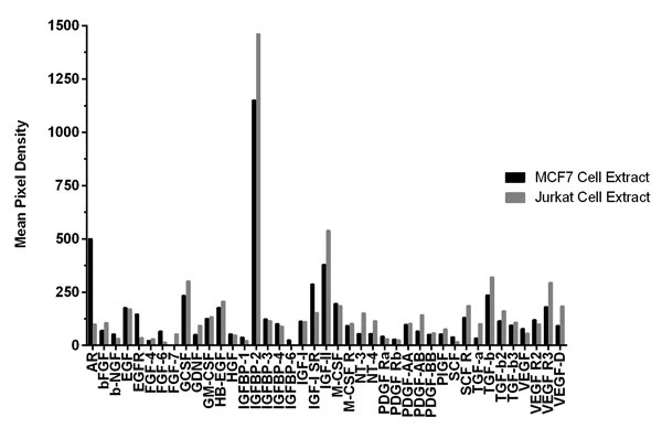 Human Growth Factor Antibody Array - Membrane (41 Targets) (ab134002 ...