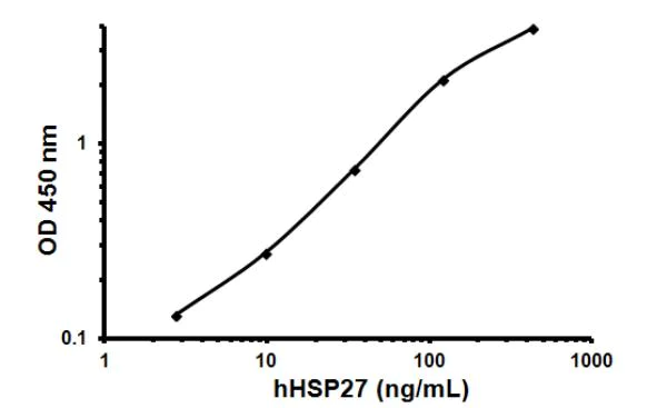 Human Heat Shock Protein 27 ELISA Kit (HSP27) (ab108862) | Abcam
