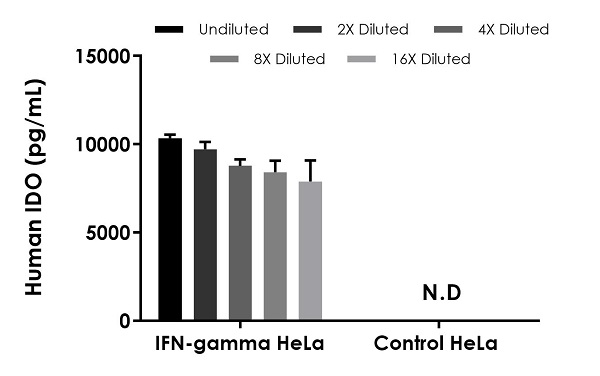Human IDO ELISA Kit (ab245710) | Abcam