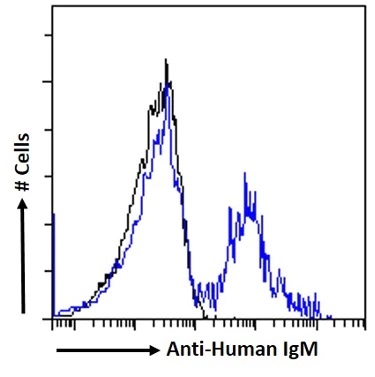 Anti-Human IgM Antibody [47.2.E9] (ab316359) | Abcam