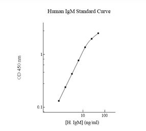 Human IgM ELISA Kit (ab137982) | Abcam