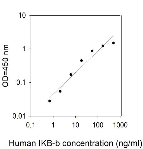 Human IKB beta ELISA Kit (ab313974) | Abcam
