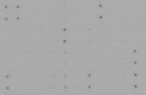 Human Inflammation Antibody Array - Membrane (40 Targets) (ab134003 ...