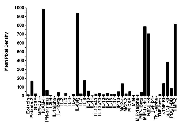 Human Inflammation Antibody Array - Membrane (40 Targets) (ab134003 ...