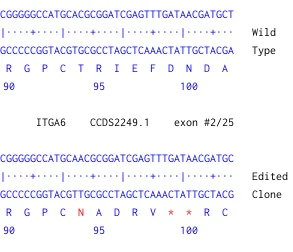 Human ITGA6 (Integrin alpha 6) knockout SW480 cell line (ab273699) | Abcam